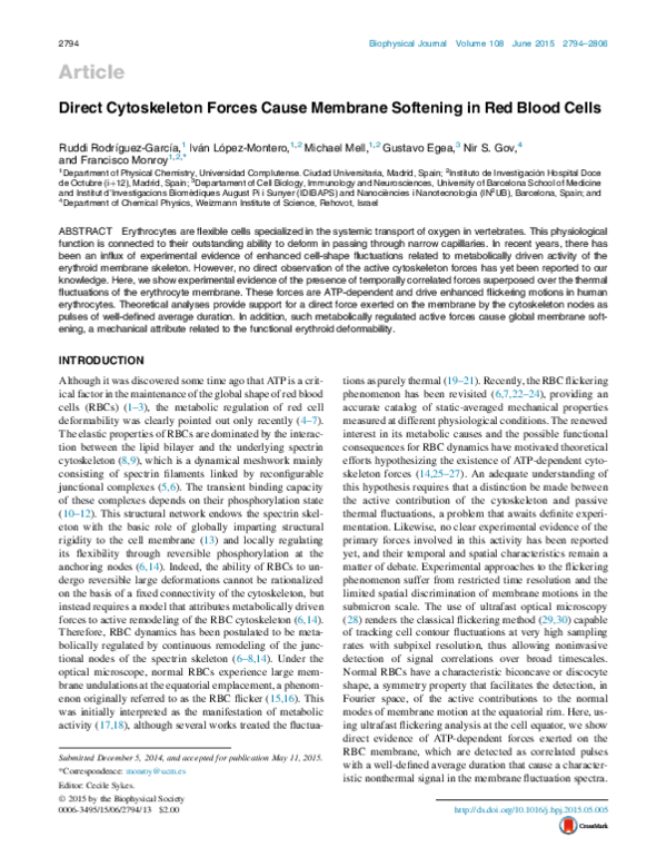 (PDF) Direct Cytoskeleton Forces Cause Membrane Softening in Red Blood ...