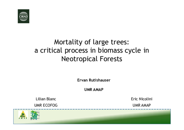 (PDF) Mortality of large trees: A critical process in biomass cycle in ...