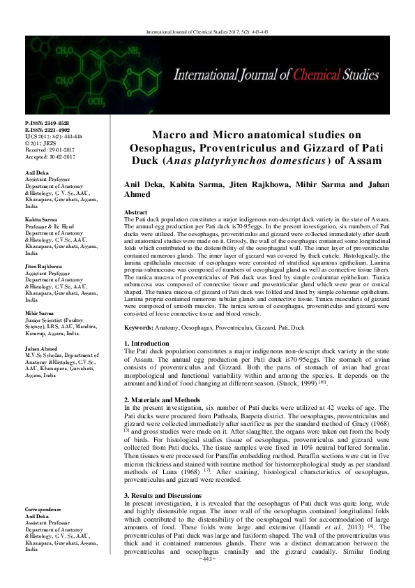 (PDF) Macro and Micro anatomical studies on Oesophagus, Proventriculus ...