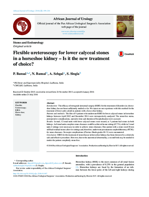 (PDF) Flexible ureteroscopy for lower calyceal stones in a horseshoe ...