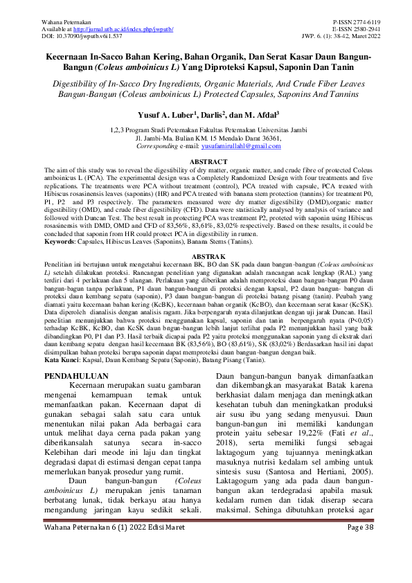 (PDF) Kecernaan In-Sacco Bahan Kering, Bahan Organik, Dan Serat Kasar Daun Bangun-Bangun (Coleus ...