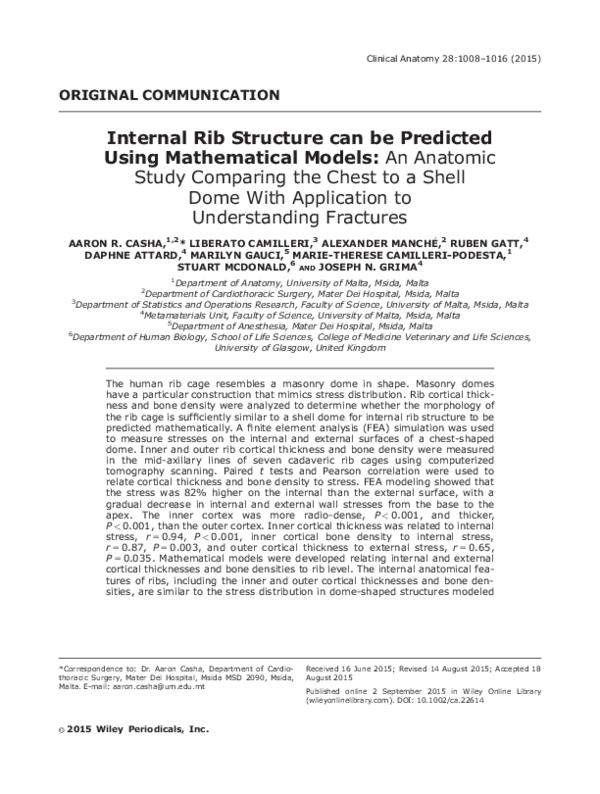 (PDF) Internal rib structure can be predicted using mathematical models ...