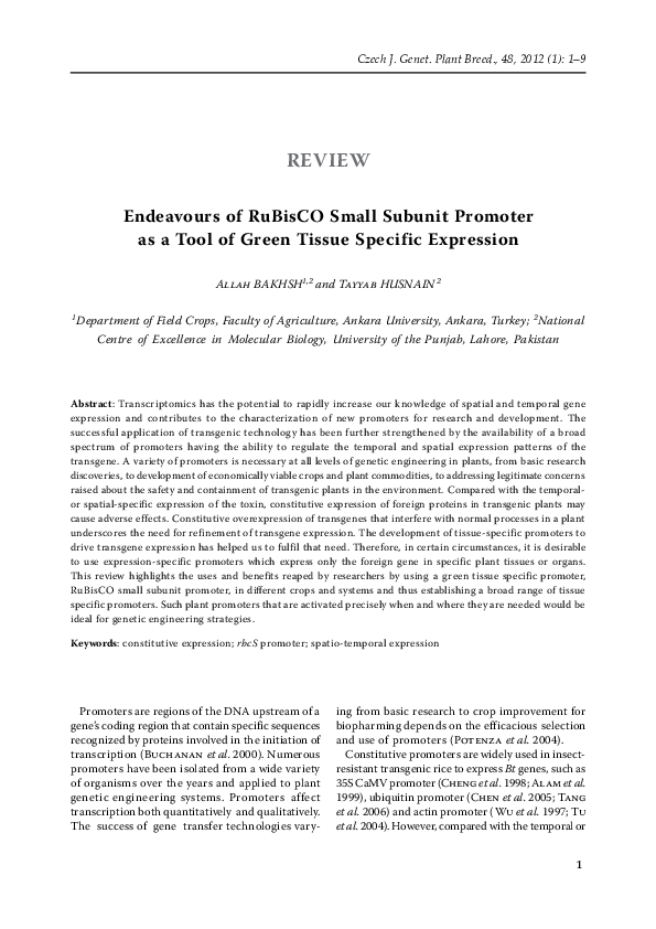 (PDF) Endeavours of RuBisCO small subunit promoter as a tool of green ...