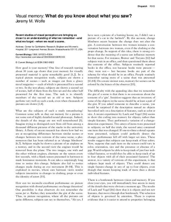 (PDF) Visual memory: What do you know about what you saw?