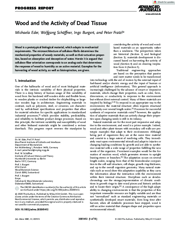 (PDF) Wood and the Activity of Dead Tissue
