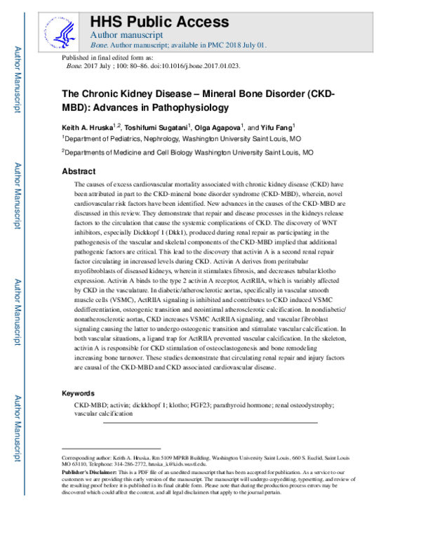 (PDF) The chronic kidney disease — Mineral bone disorder (CKD-MBD ...
