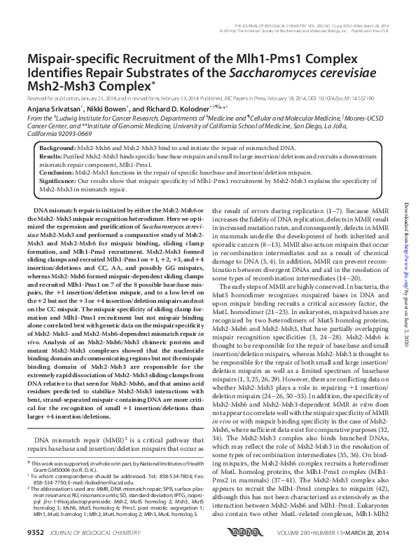 (PDF) Mispair-specific Recruitment of the Mlh1-Pms1 Complex Identifies ...