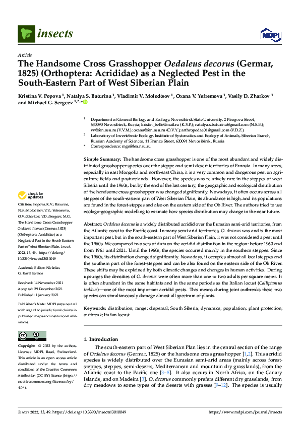 (PDF) The Handsome Cross Grasshopper Oedaleus decorus (Germar, 1825 ...