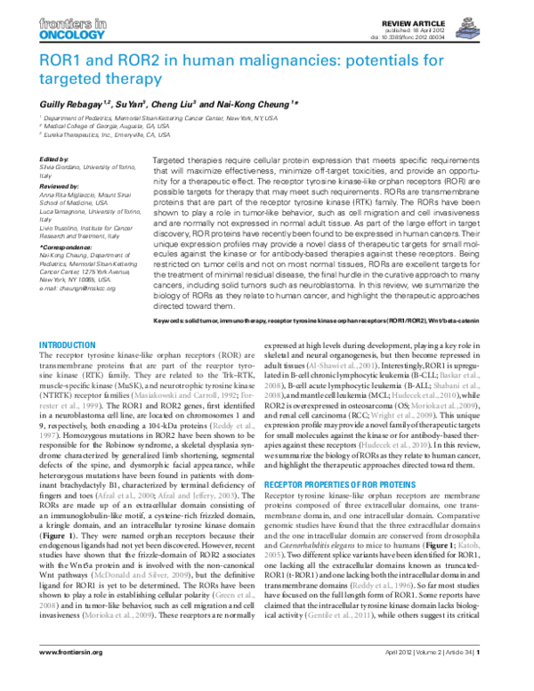 (PDF) ROR1 and ROR2 in Human Malignancies: Potentials for Targeted Therapy