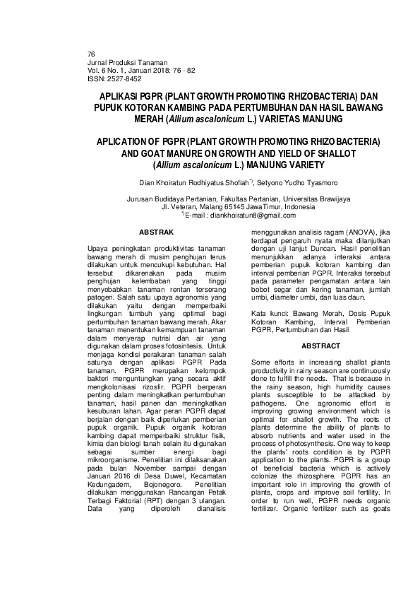 (PDF) APLIKASI PGPR (PLANT GROWTH PROMOTING RHIZOBACTERIA) DAN PUPUK ...