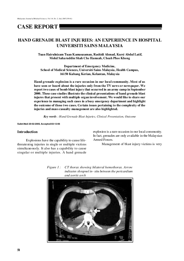 (PDF) Hand grenade blast injuries: an experience in hospital universiti ...