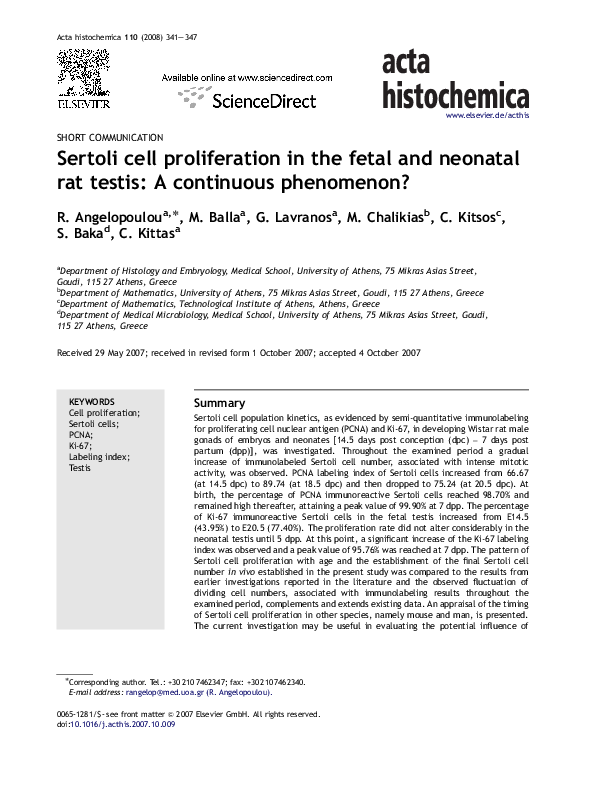 Pdf Sertoli Cell Proliferation In The Fetal And Neonatal Rat Testis