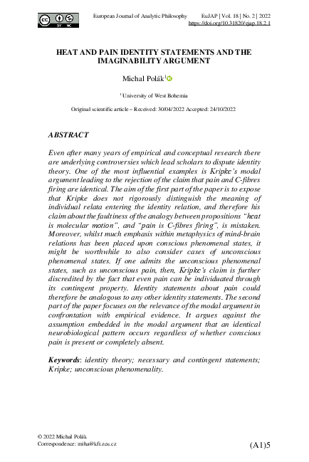 (PDF) Heat and Pain Identity Statements and the Imaginability Argument