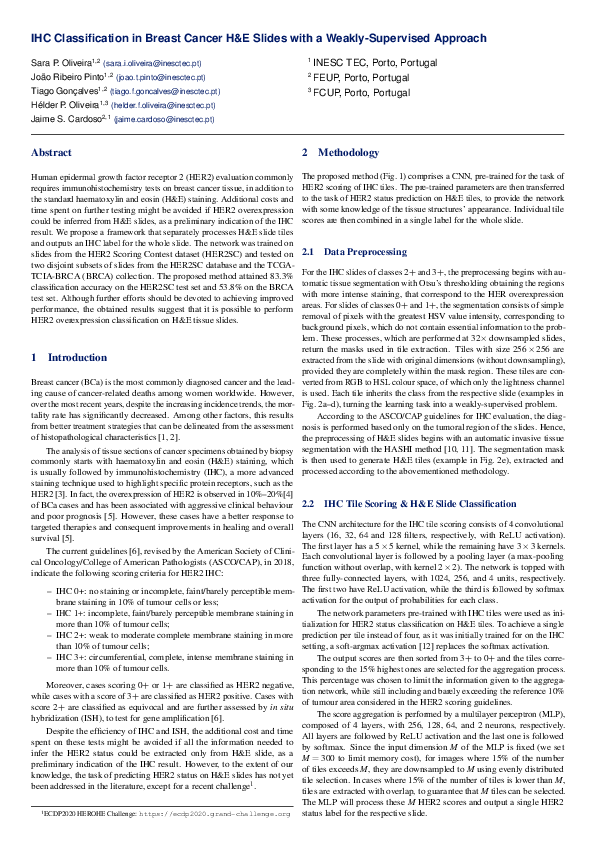 (PDF) IHC Classification in Breast Cancer H&E Slides with a Weakly ...