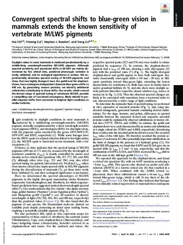 (PDF) Convergent spectral shifts to blue-green vision in mammals ...