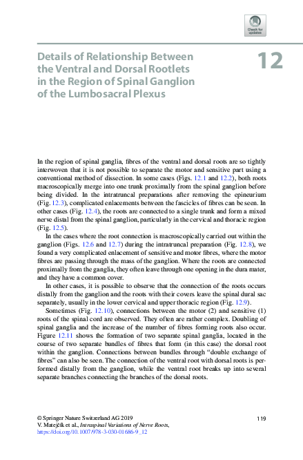(PDF) Details of Relationship Between the Ventral and Dorsal Rootlets ...