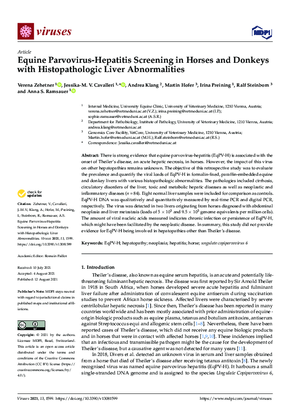 (PDF) Equine Parvovirus-Hepatitis Screening in Horses and Donkeys with ...