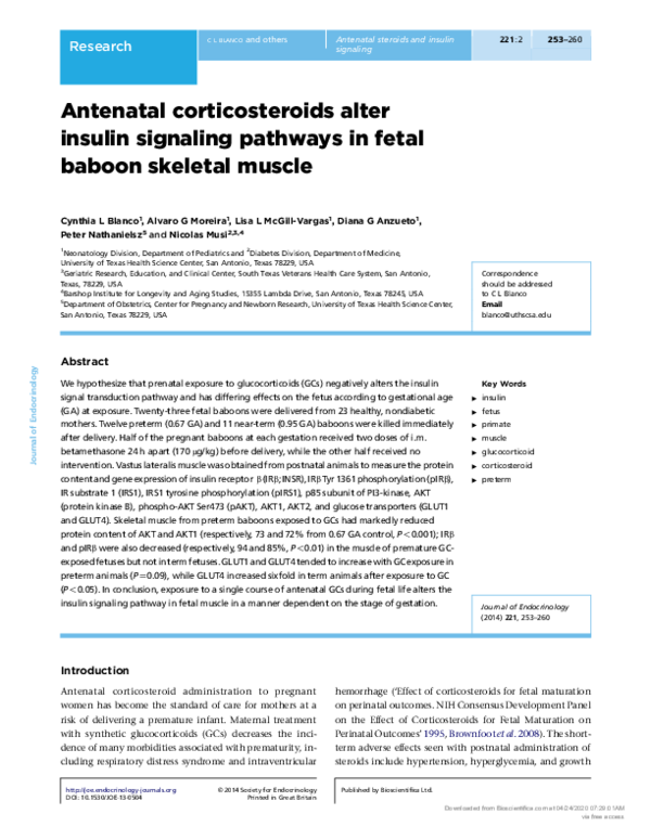 (PDF) Antenatal corticosteroids alter insulin signaling pathways in fetal baboon skeletal muscle
