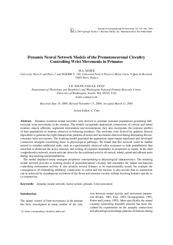 Pdf Dynamic Neural Network Models Of The Premotoneuronal Circuitry