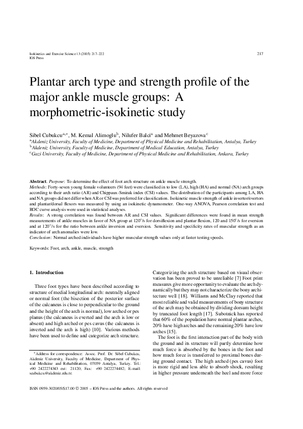 (PDF) Plantar arch type and strength profile of the major ankle muscle ...