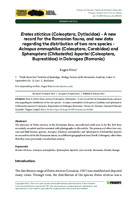 (PDF) Eretes sticticus (Coleoptera, Dytiscidae) - A new record for the ...