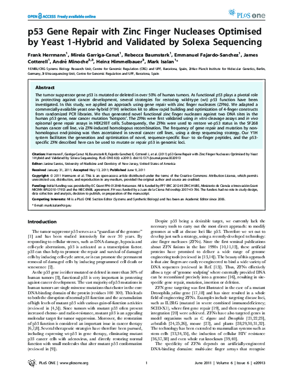 (PDF) p53 Gene Repair with Zinc Finger Nucleases Optimised by Yeast 1-Hybrid and Validated by ...
