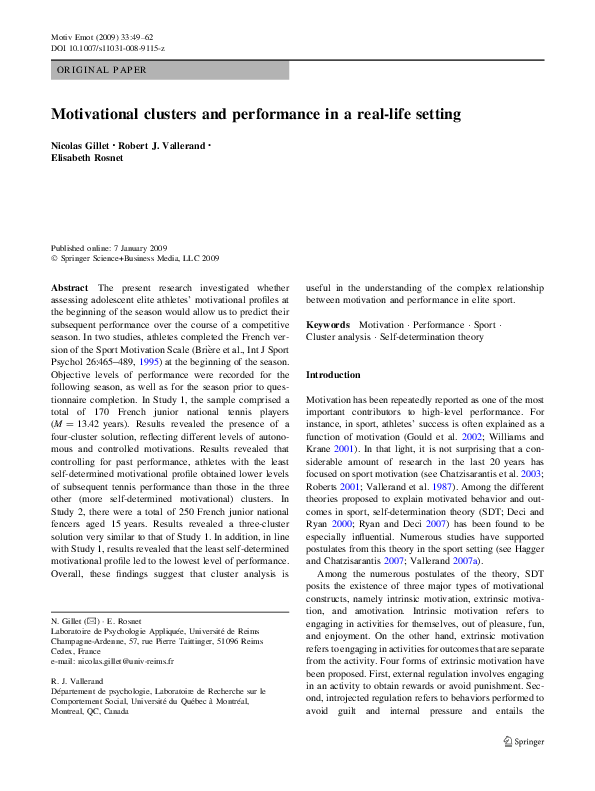 (PDF) Motivational clusters and performance in a real-life setting