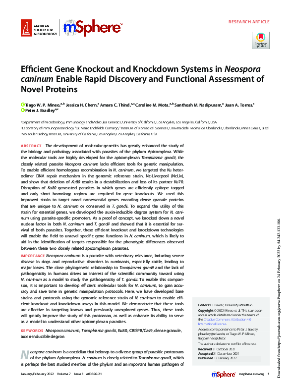 (PDF) Efficient Gene Knockout and Knockdown Systems in Neospora caninum ...