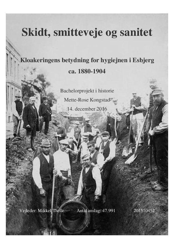 (PDF) Skidt, smitteveje og sanitet. Kloakeringens betydning for ...