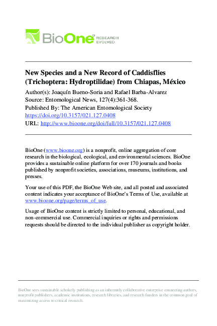 (PDF) New Species and a New Record of Caddisflies (Trichoptera ...