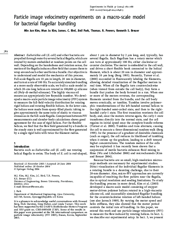Pdf Particle Image Velocimetry Experiments On A Macro Scale Model For Bacterial Flagellar Bundling
