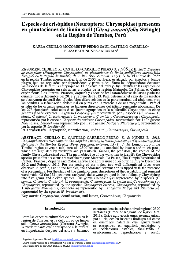 (PDF) Chrysopid species (Neuroptera: Chrysopidae ) present in lemon ...