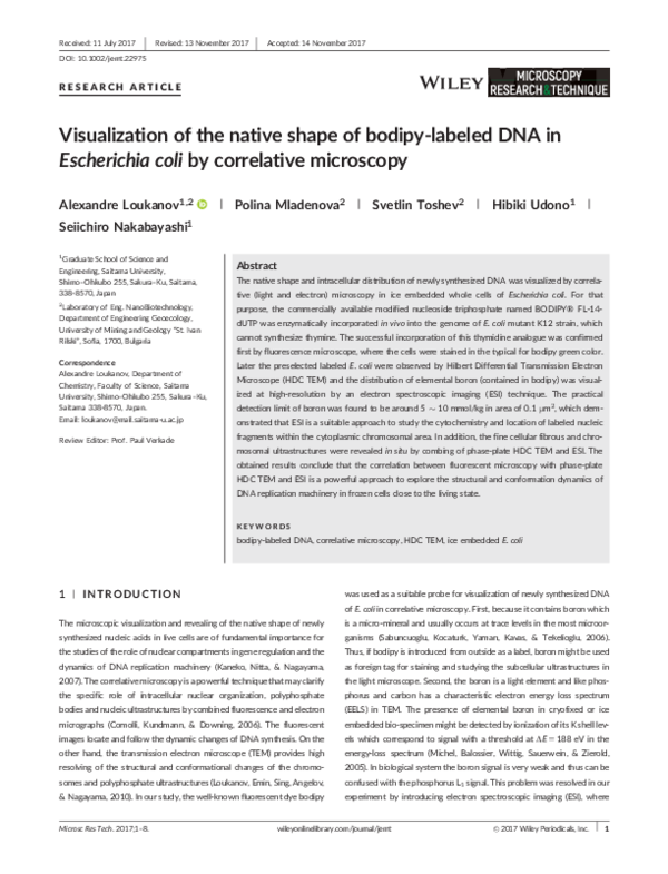 (PDF) Visualization of the native shape of bodipy-labeled DNA in ...