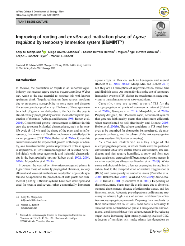 (PDF) Improving of rooting and ex vitro acclimatization phase of Agave ...