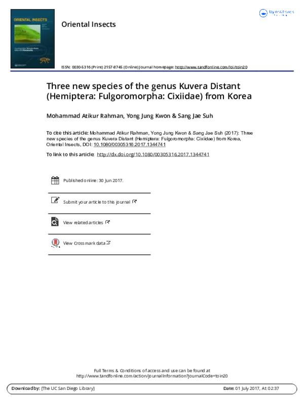 (PDF) Three new species of the genus Kuvera Distant (Hemiptera ...