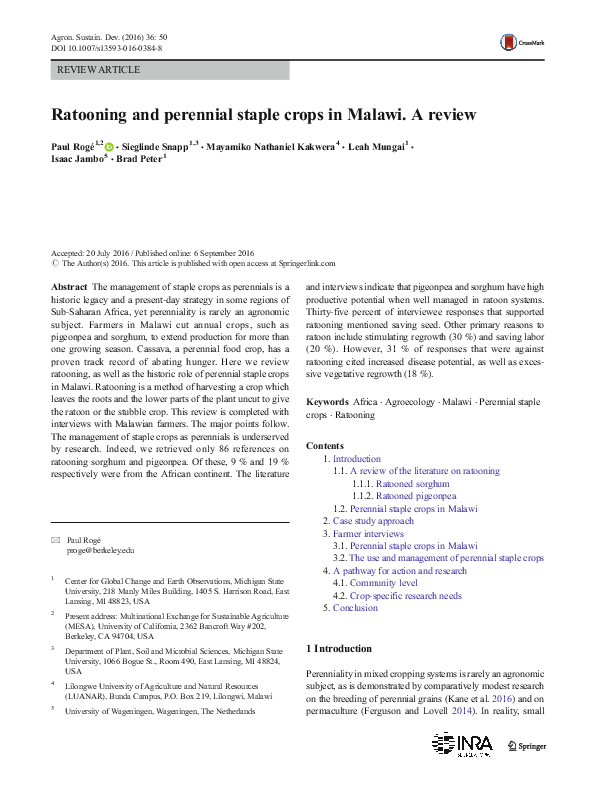 (PDF) Ratooning and perennial staple crops in Malawi. A review