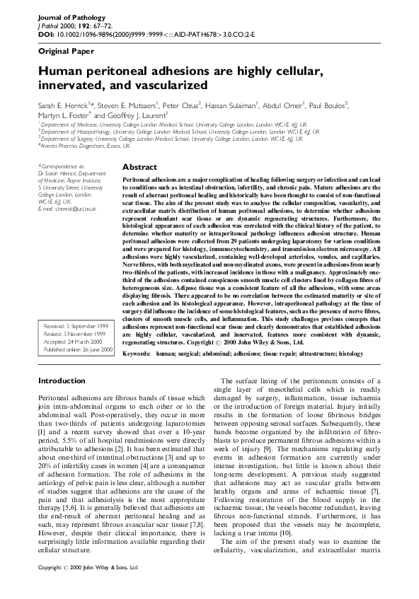 (PDF) Human peritoneal adhesions are highly cellular, innervated, and ...