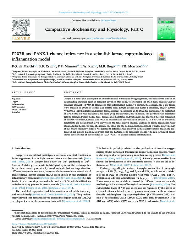 (PDF) P2X7R and PANX-1 channel relevance in a zebrafish larvae copper-induced inflammation model