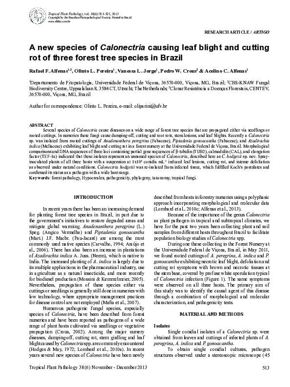 (PDF) A new species of Calonectria causing leaf blight and cutting rot ...