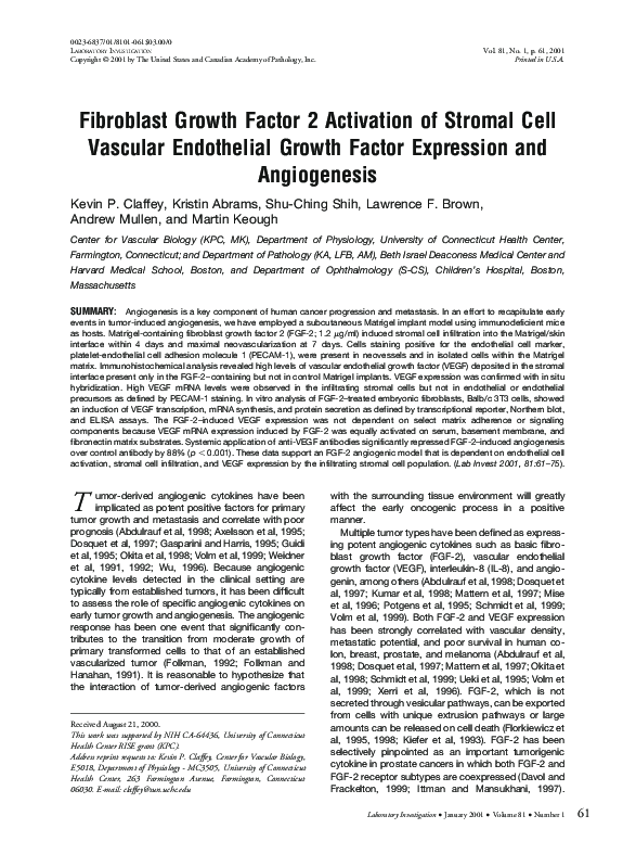 (PDF) Fibroblast Growth Factor 2 Activation of Stromal Cell Vascular ...