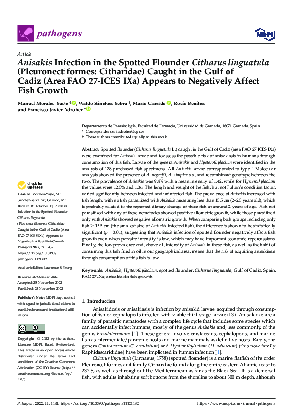(PDF) Anisakis infection in the spotted flounder Citharus linguatula ...