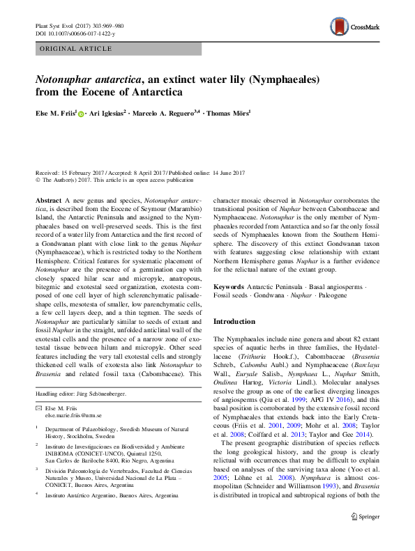 (PDF) Notonuphar antarctica, an extinct water lily (Nymphaeales) from the Eocene of Antarctica ...