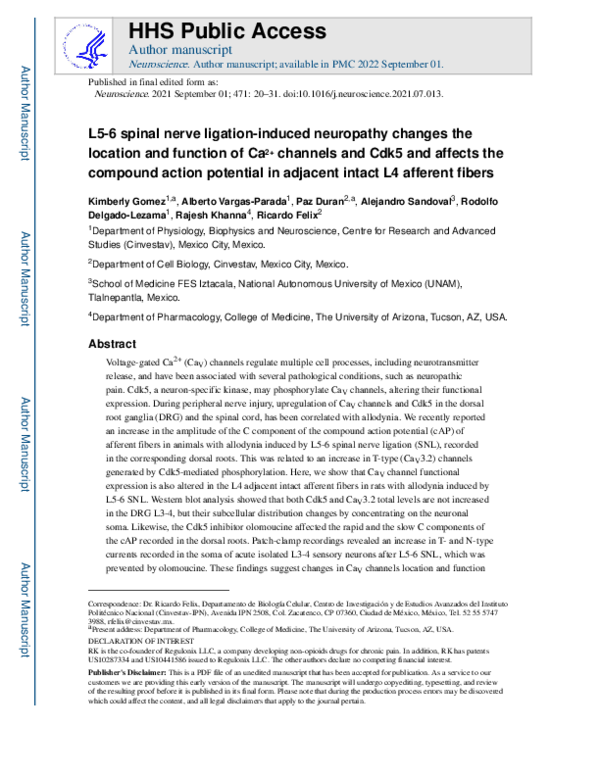 (PDF) L5-6 Spinal Nerve Ligation-induced Neuropathy Changes the ...
