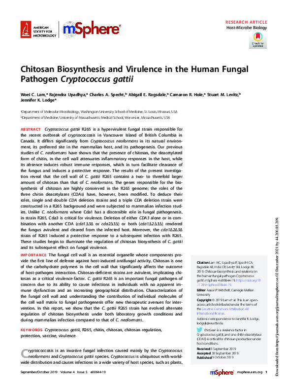 (PDF) Chitosan biosynthesis and virulence in the human fungal pathogen ...