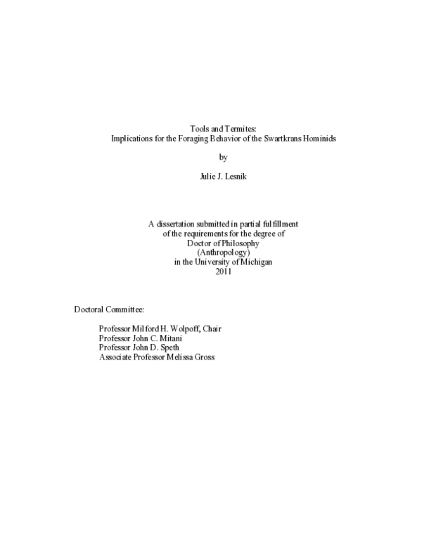 (PDF) Tools and Termites: Implications for the Foraging Behavior of the ...
