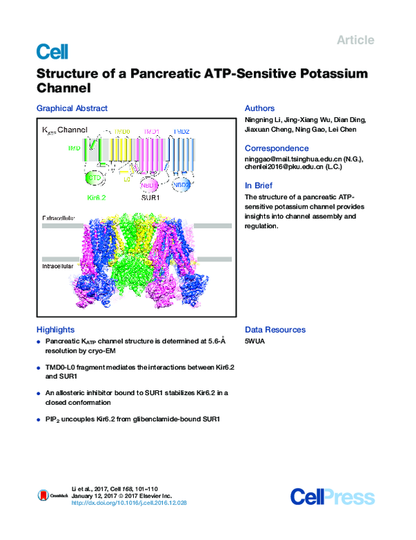 (PDF) Structure of a Pancreatic ATP-Sensitive Potassium Channel