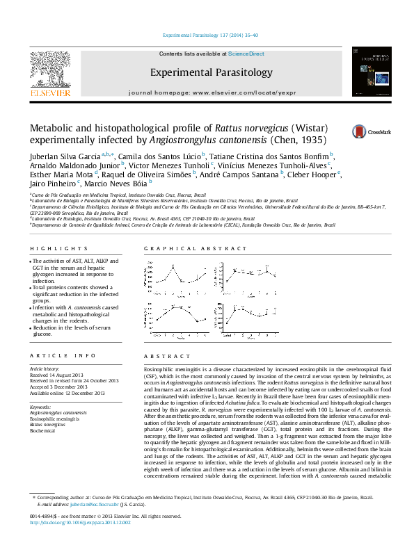 (PDF) Metabolic and histopathological profile of Rattus norvegicus ...