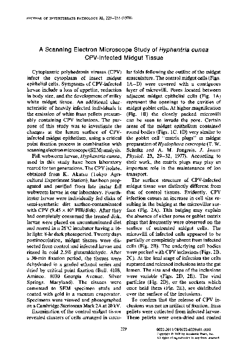 (PDF) A scanning electron microscope study of Hyphantria cunea CPV ...