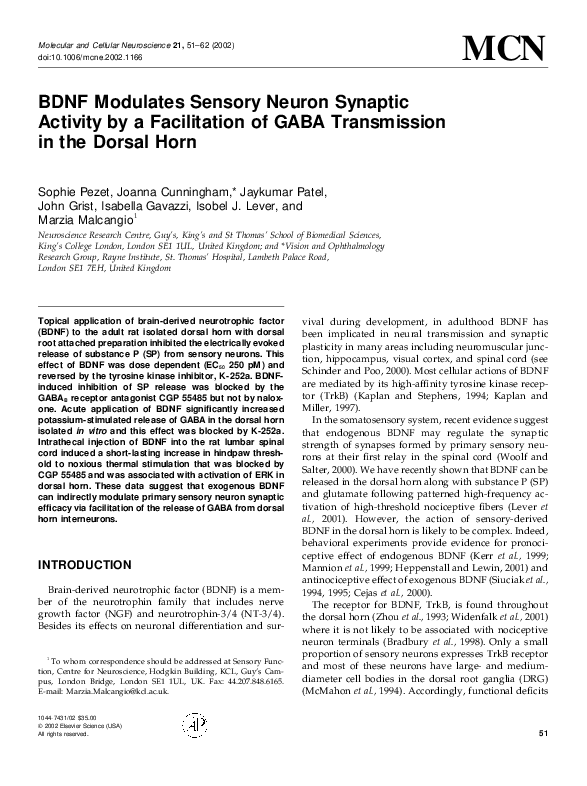 (PDF) BDNF Modulates Sensory Neuron Synaptic Activity by a Facilitation ...