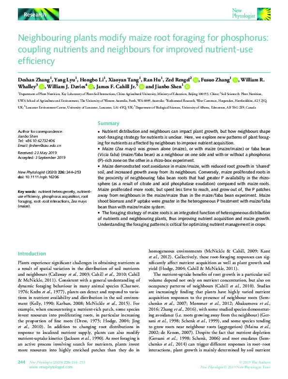 (PDF) Neighbouring plants modify maize root foraging for phosphorus ...